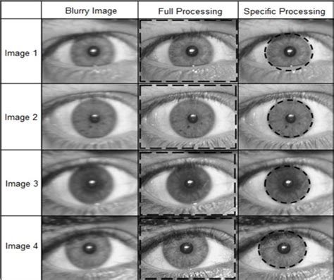 Figure 1 From Deblurring Of Noisy Iris Images In Iris Recognition Semantic Scholar