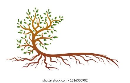 Symbol Tree Roots เวกเตอรสตอก ปลอดคาลขสทธ Shutterstock