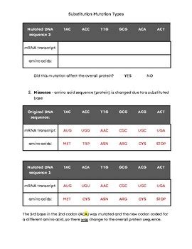 Substitution Mutation Types By Monica Haller TPT