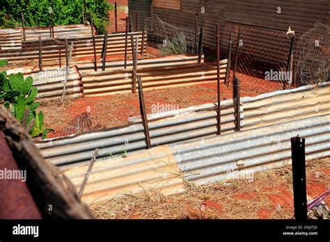 Corrugated Iron Partitions That Once Was A Vegetable Garden Gwalia Historical Gold Mining Town Corrugated Iron Partitions That Once Was A Vegetable Garden Gwalia Historical Gold Mining Town