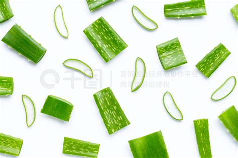 背景。高清图片 芦荟是一种流行的健康和美容药用植物，白色背景。 风景名胜免费下载格式5472像素编号42929321 千图网