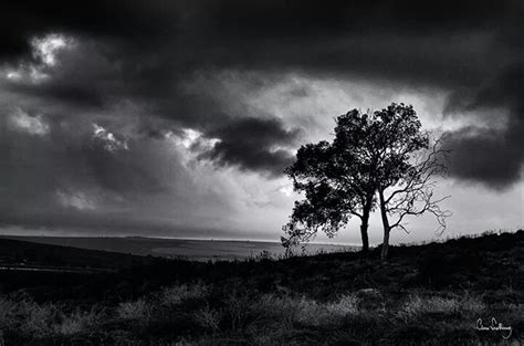 Chris Snellings Stunning Black And White Photograph