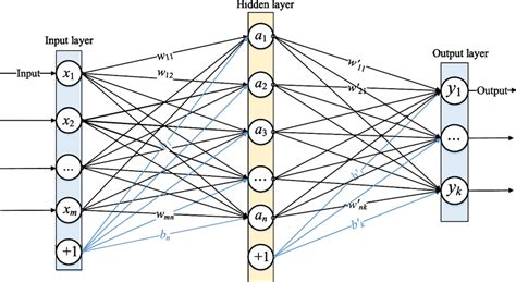 The Structure Of A Fully Connected Neural Network Download Scientific