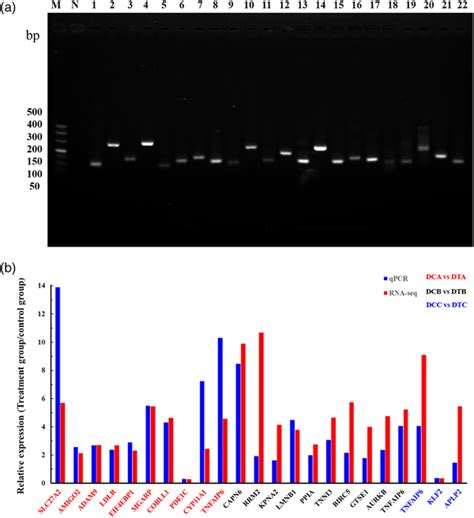 Validation Of Genes And Their Differential Expression In Sheep Ovary Download Scientific