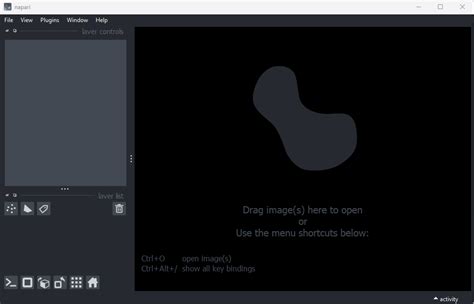 Whole Brain Microscopy Analysis