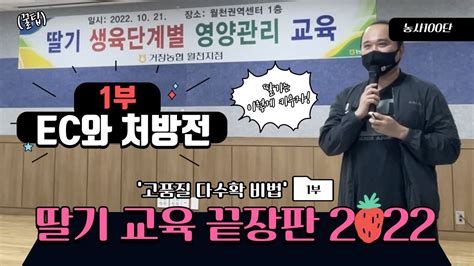 딸기 교육 총정리판 2022 1부 총정리 시리즈보고 딸기 농사 완벽 터득하자 농사 100단 Youtube