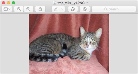 Create Ml Tutorial Getting Started Kodeco Create Ml Tutorial Getting Started Kodeco