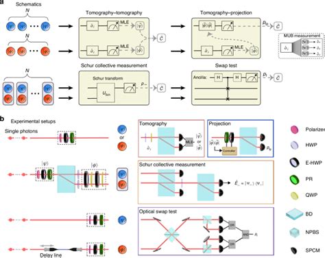 Excited To Share Our Latest Work Published In Light Science