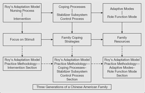 Adaptation Model