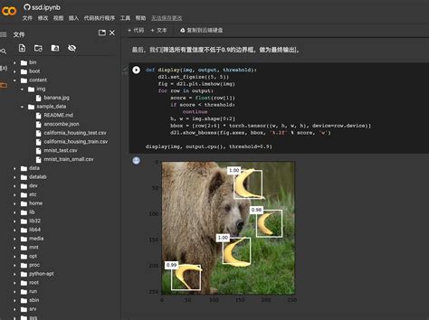 单发多框检测（ssd） pytorch d2l discussion