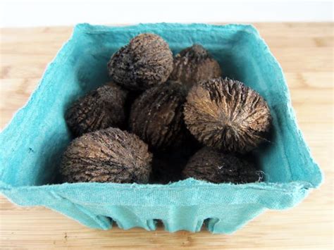 Here S How To Identify Common North American Trees With Pinnate Leaves Wild Food Black Walnut