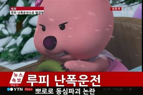 루피 난폭운전 지식in