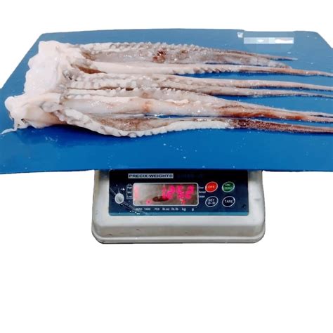Frozen Giant Squid Clean Tentacle Buy Frozen Giant Squidgiant Squid