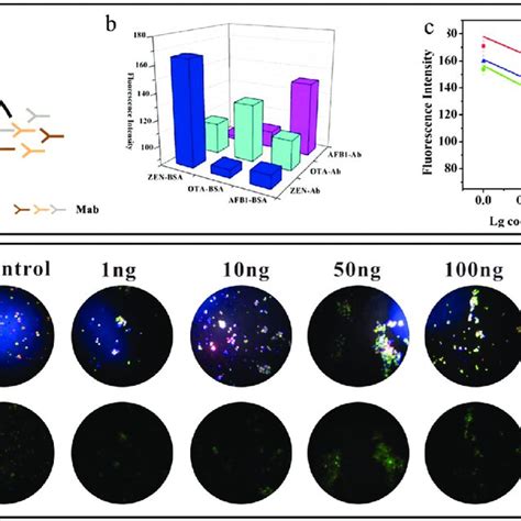 Synthesis And Characterization Of Upconversion Nanoparticle Encoded