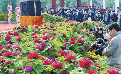 洛阳牡丹花会徽标什么含义 百度经验