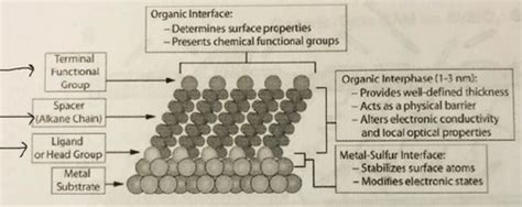 Functional Interfaces Lecture Content Flashcards Quizlet