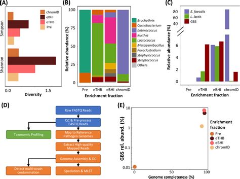 A Metagenomics Based Workflow For The Detection And Genomic Characterization Of Gbs In Raw