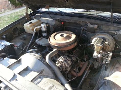 Pictures Of Sierra Sinn