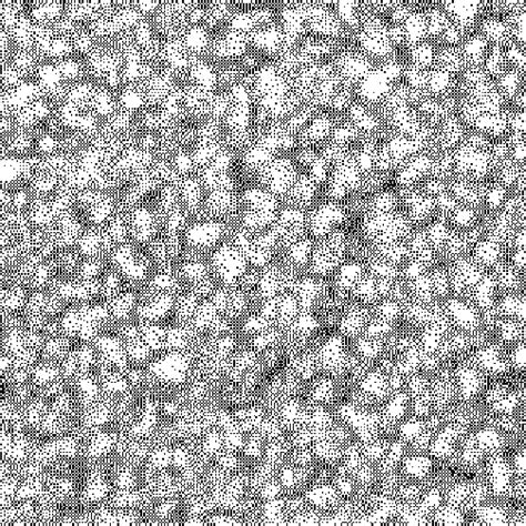 5 Solar Granulation Showing Very Small Scale Turbulent Motions From Download Scientific