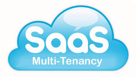 Effective Multi Tenancy Strategies For Saas Applications
