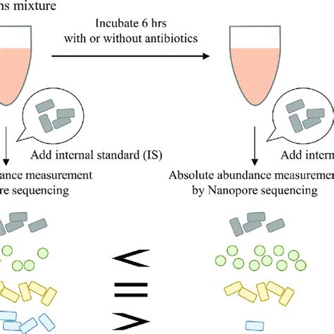 Design Of Antimicrobial Susceptibility Testing Methodology A Culture