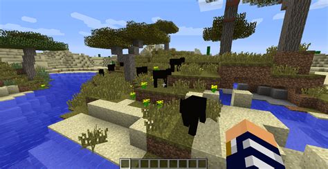 Minecraft Texture Bug Rminecraft