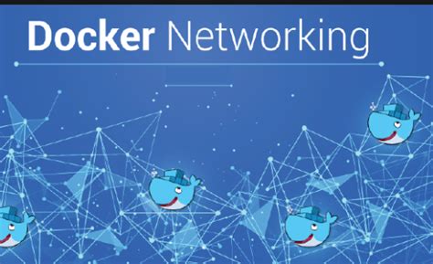 🌐 Day 28 Exploring Docker Networking By Vinoth Subbiah Feb 2024
