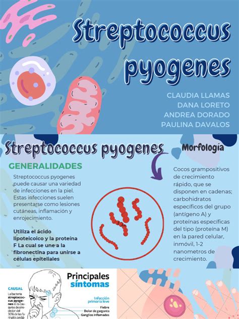Presentación Streptococcus Pyogenes Pdf Especialidades Medicas
