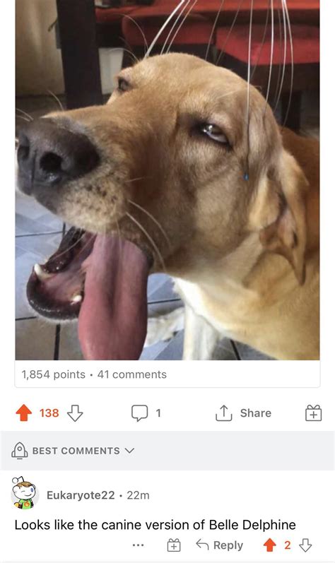 Cursedbell Delphine Scrolller