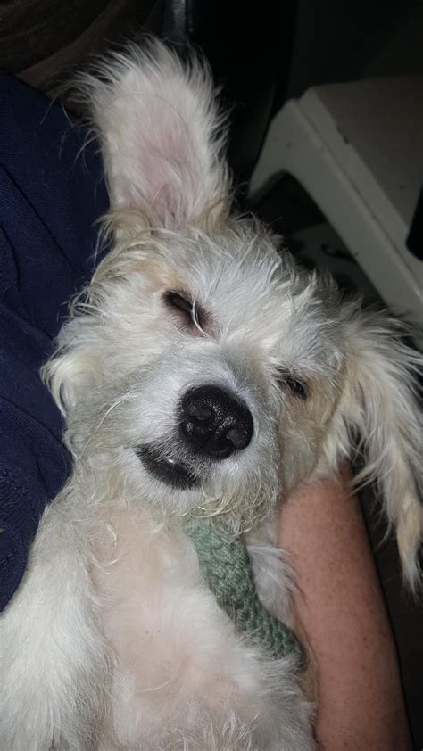 My Lazy 4 Year Old Raww