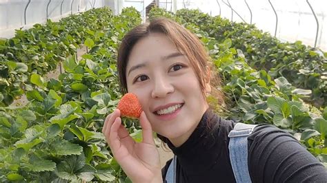 딸기를 배터지게 먹을 수 있는 딸기밭 체험 1부 Youtube