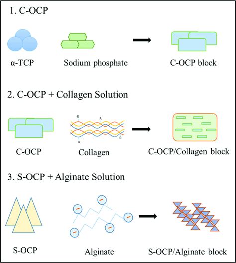 Schematic Images Showing The Manufacturing Process Of 1c Ocp