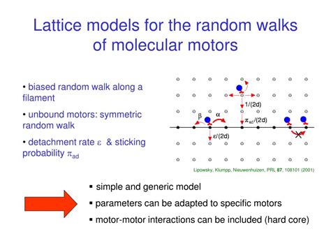 Ppt Movements Of Molecular Motors Random Walks And Traffic Phenomena
