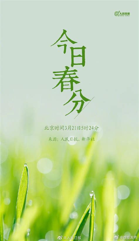 今日，春分新浪图片