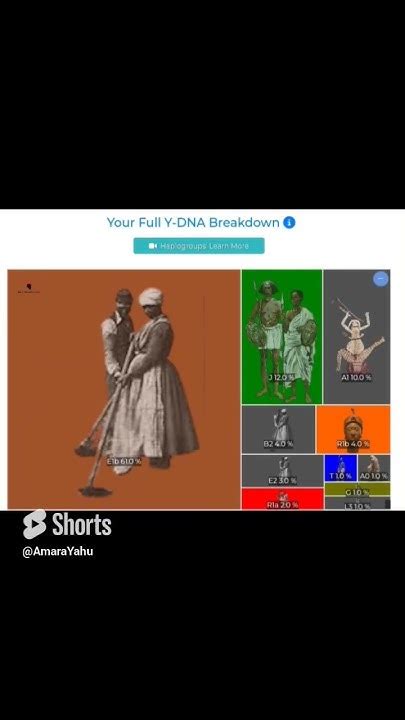 L3 Haplogroup Proto Asians Youtube