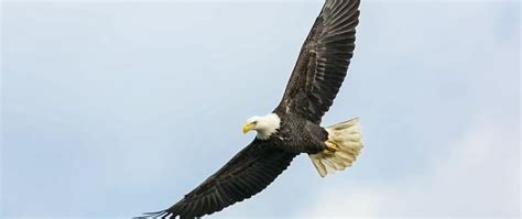 Darken Image With Tailwind Css Dev Community