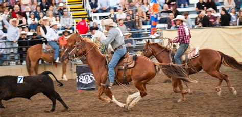 Official Website Of The California Mid State Fair Paso Robles Ca