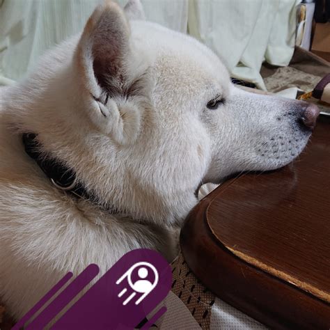 Sayaka Azuma On Reels Facebook