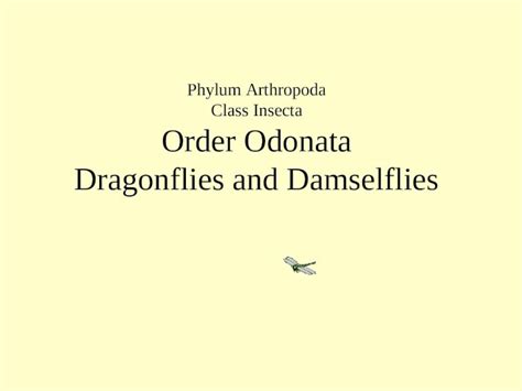 Ppt Phylum Arthropoda Class Insecta Order Odonata Dragonflies And