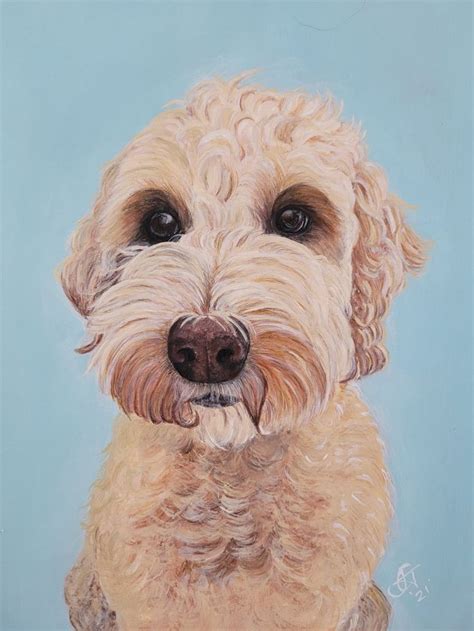 Cockapoo Pet Portrait