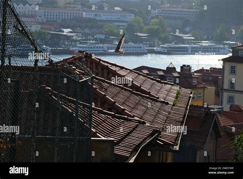 Step Into History S Embrace With The Captivating Charm Of This Historical City Timeless Beauty