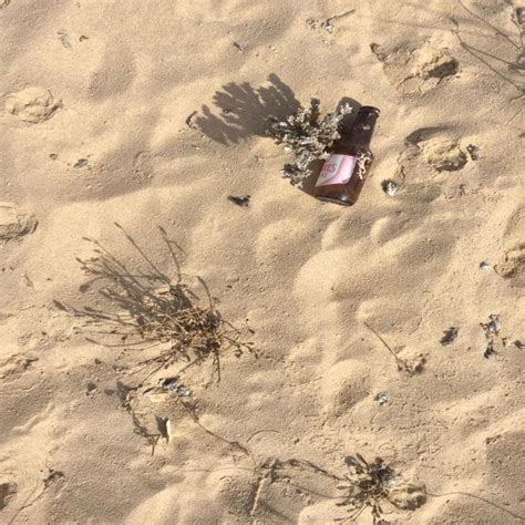 Object Detection Object Detection Cfdsz Roboflow Universe