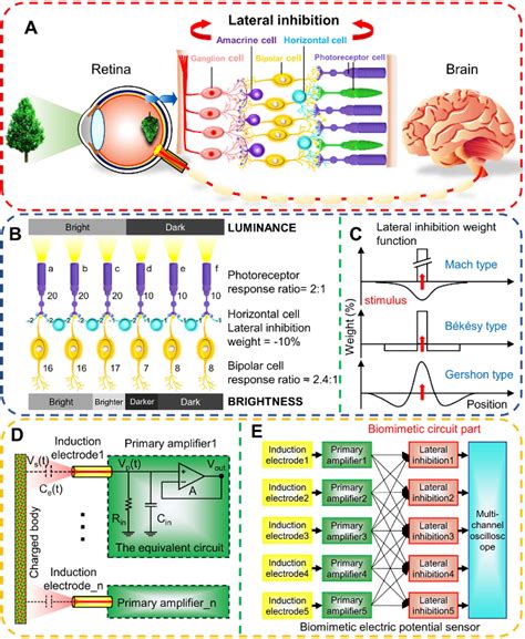 Figure 1 From Biomimetic Measurement Method For Surface Electric