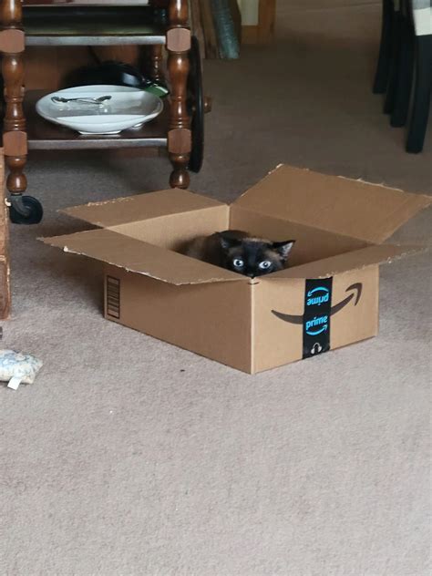 Perfectly Hidden Scrolller