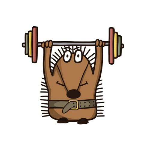 Comparing Masses Lesson Maths Au