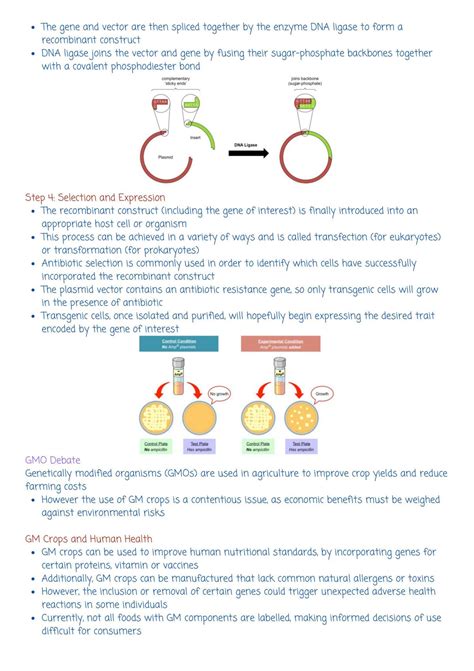 Ib Bio Chapter3 Biology Higher Level Ib Thinkswap