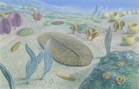 First Multicellular Life On Earth