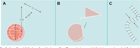 Figure 7 From Flap Basics I Rotation And Transposition Flaps Semantic Scholar