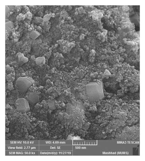 The SEM Image Of A GO Fe3O4 SiO2 B MIP GO Fe3O4 SiO2 C And Download Scientific Diagram