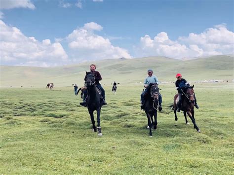 Plain Language Summary Complex Regional Distant Interactions Between People And Nature